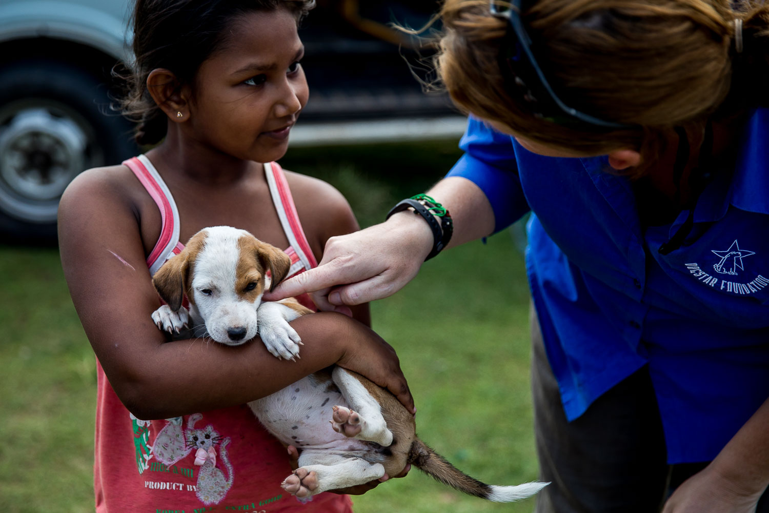 Dogs Trust NGO Photography Sri Lanka Asia